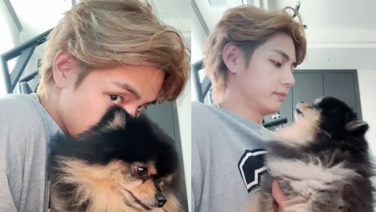 BTS V And Tan Sweet Sweet Moment And Fun Today Live Video…💜2023.06.11 ...