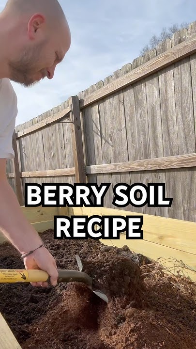 Grow ANY berries in this SOIL! #soil #berries #garden - YouTube