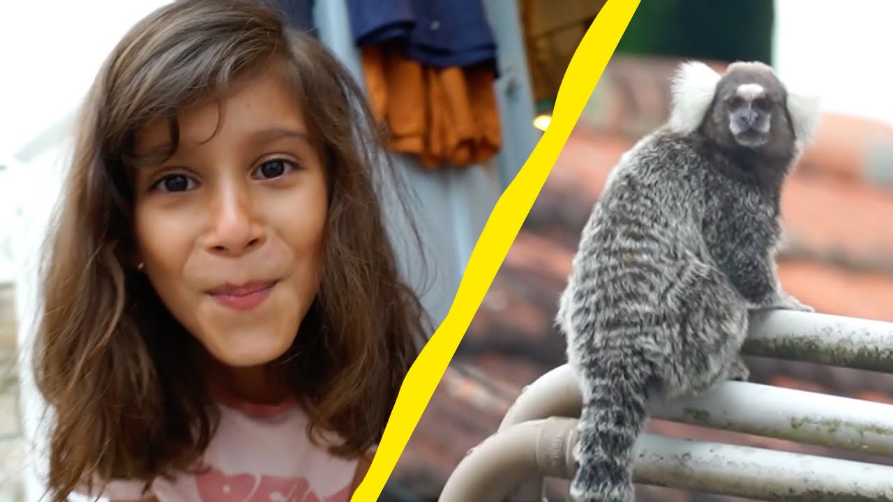 Los Micos de Brasil - EP#111 - YouTube