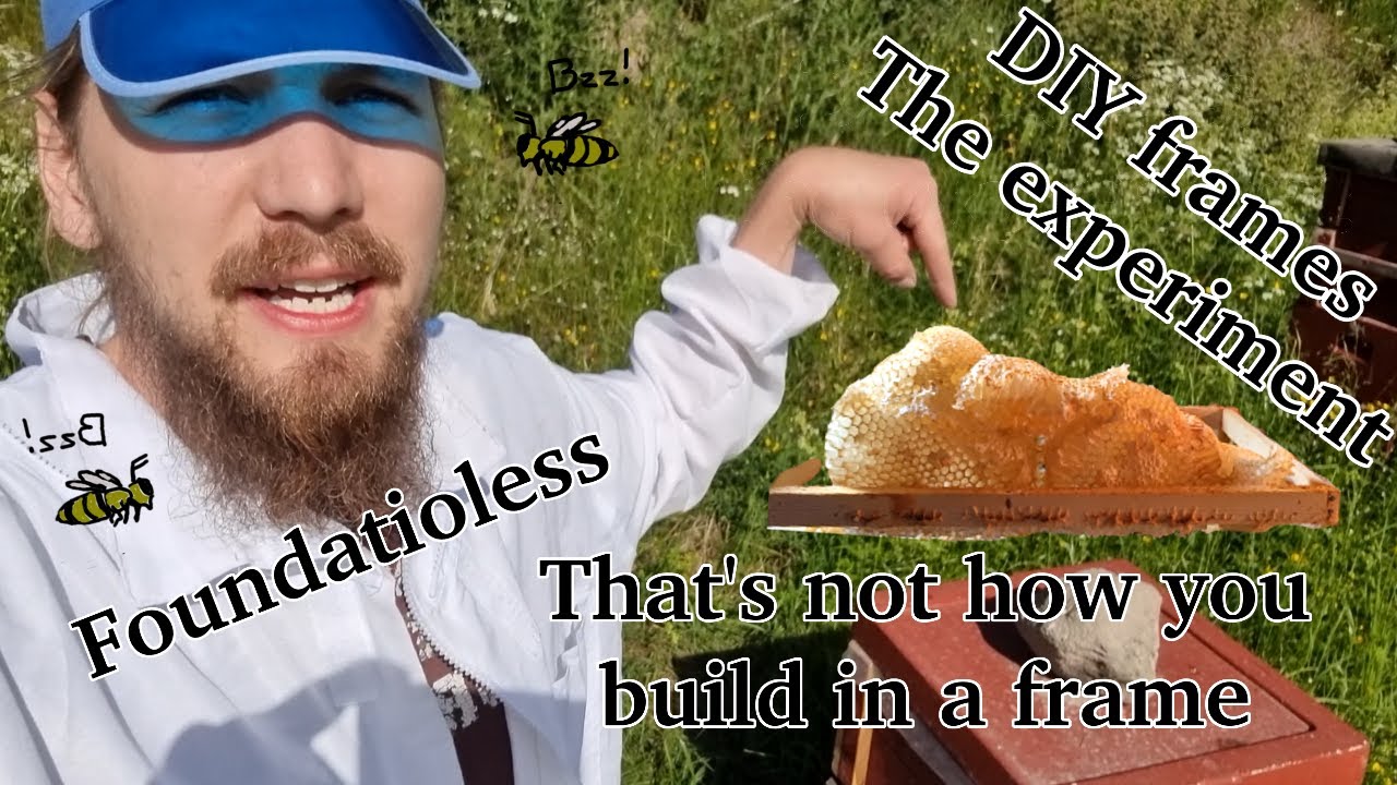 DIY Frames - Foundationless Beekeeping - The experiment - YouTube