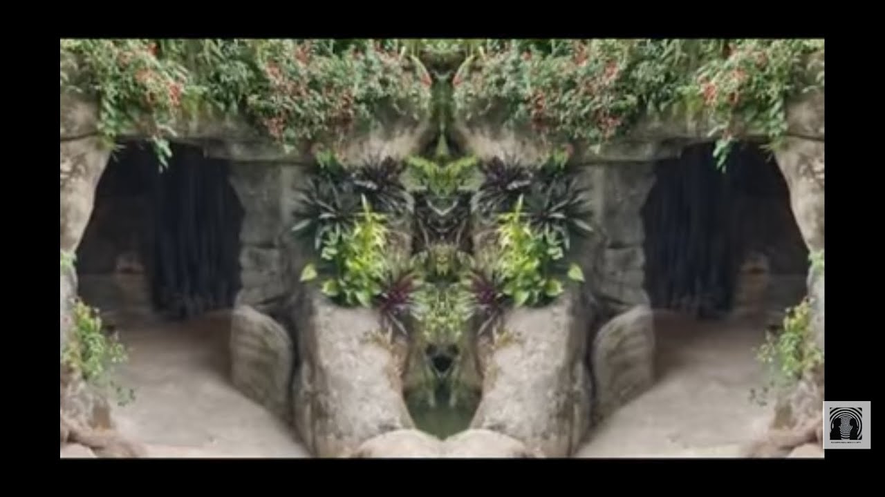 Classical Music to Relax and Sleep/Música Classica para Relaxar e ...