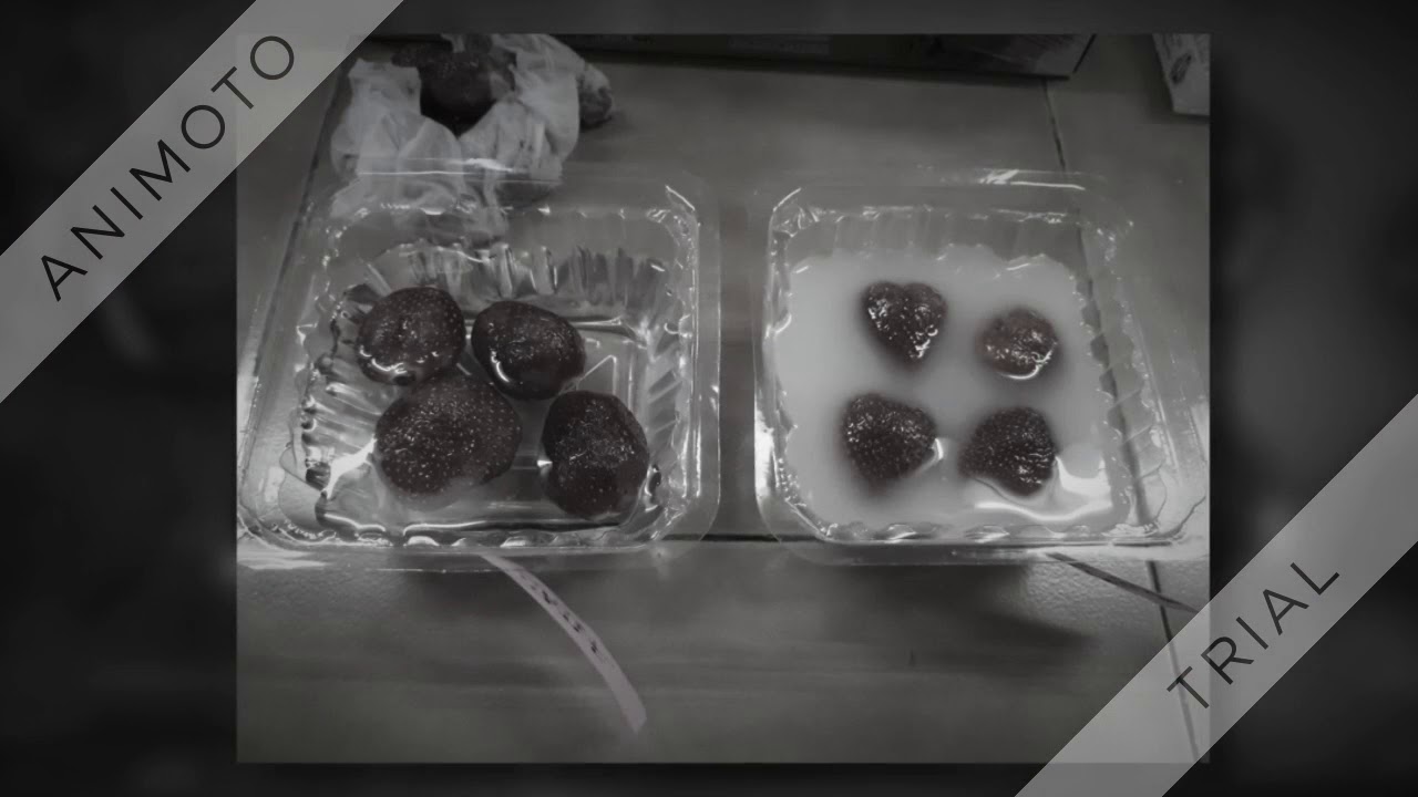 Microbiology Project - YouTube