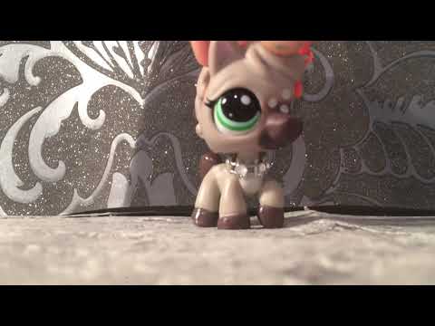 Hi i am emme nice to met u