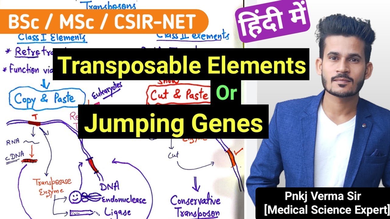 Transposable Elements | Jumping Genes | Part 1 | Pnkj Verma Sir - YouTube
