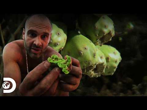 Ed Stafford no deserto do Arizona busca água e refúgio nos cactos | Ed Stafford, o Sobrevivente