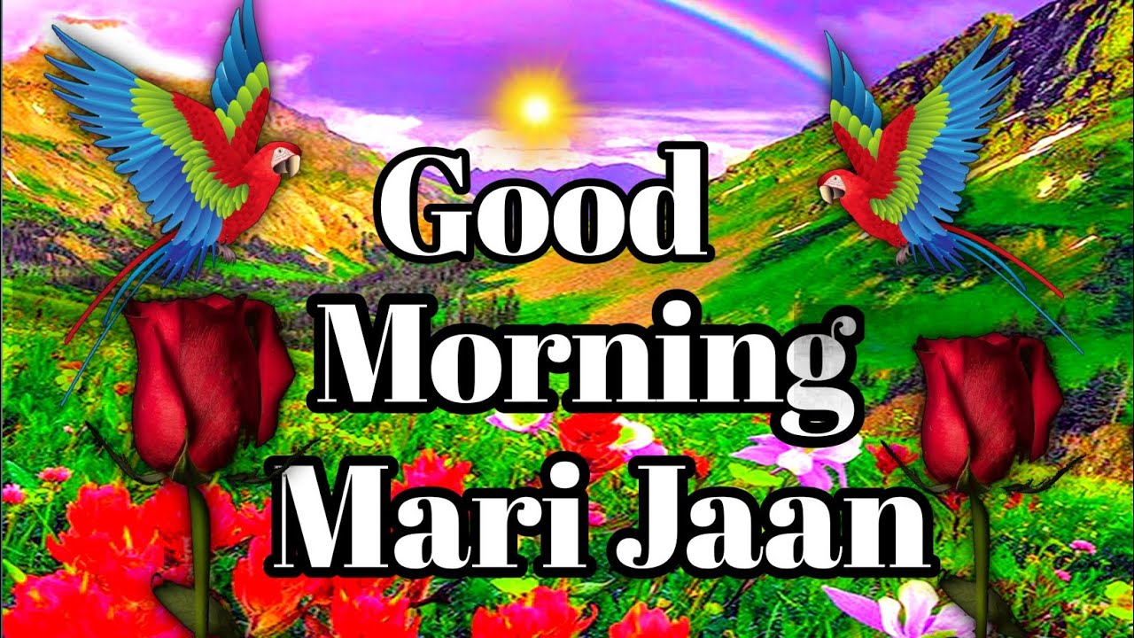 💞💞Good Morning💞💞 mari Jaan #goodmorning💞💞 #i love you😘 💞💞💞#funny # ...
