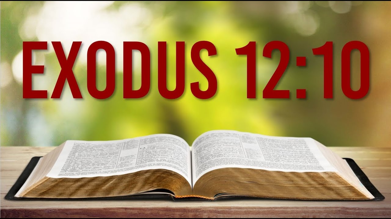 EXODUS 12: 10 - PURTENANCE - YouTube