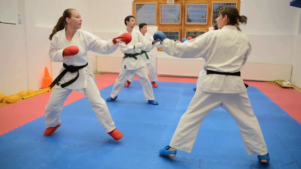 Zen Shotokan Karate S.E. - Keszthely 2017.09.12 - YouTube