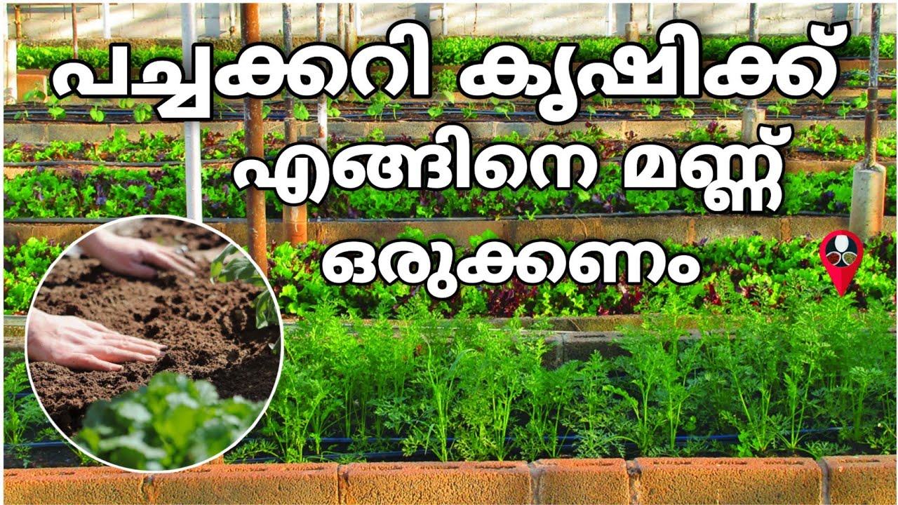 മണ്ണ് ഒരുക്കം നന്നായാൽ വിളവും നന്നാകും | How to prepare soil for ...