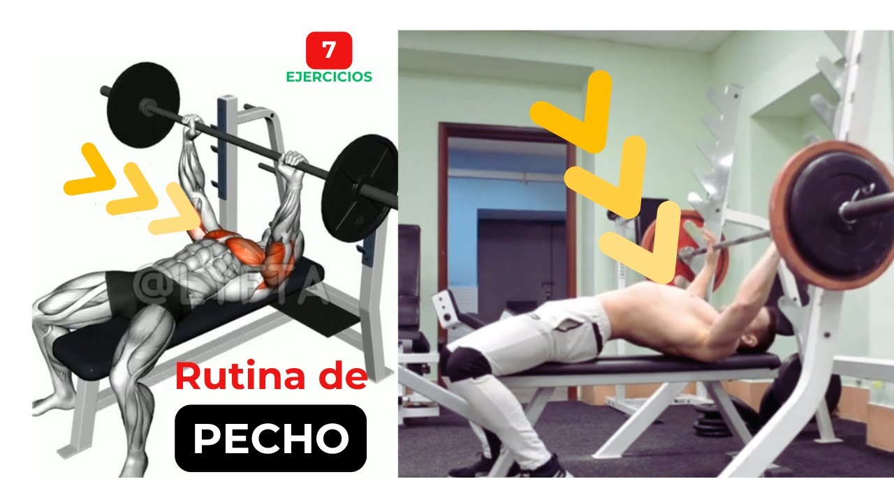 7 EJERCICIOS DE PECHO PARA TU RUTINA DEL GYM - YouTube