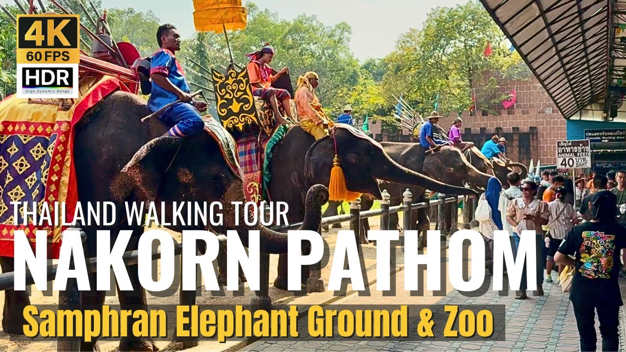 [NAKHON PATHOM] Samphran Elephant Ground & Zoo "Elephant And Crocodile ...
