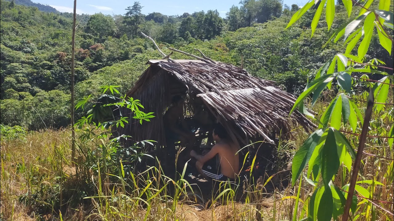 Suku Dayak || Kehidupan Berburu di hutan kalimantan - YouTube