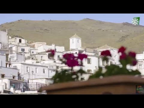 Tierra de sabores 30. Olula de Castro, Almería - YouTube