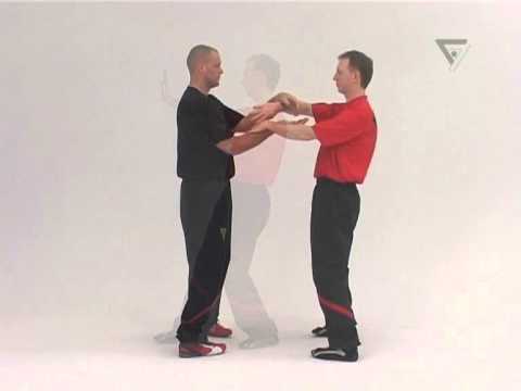 WT-DVD 02 Ausschnitt 1 von Sifu Niko