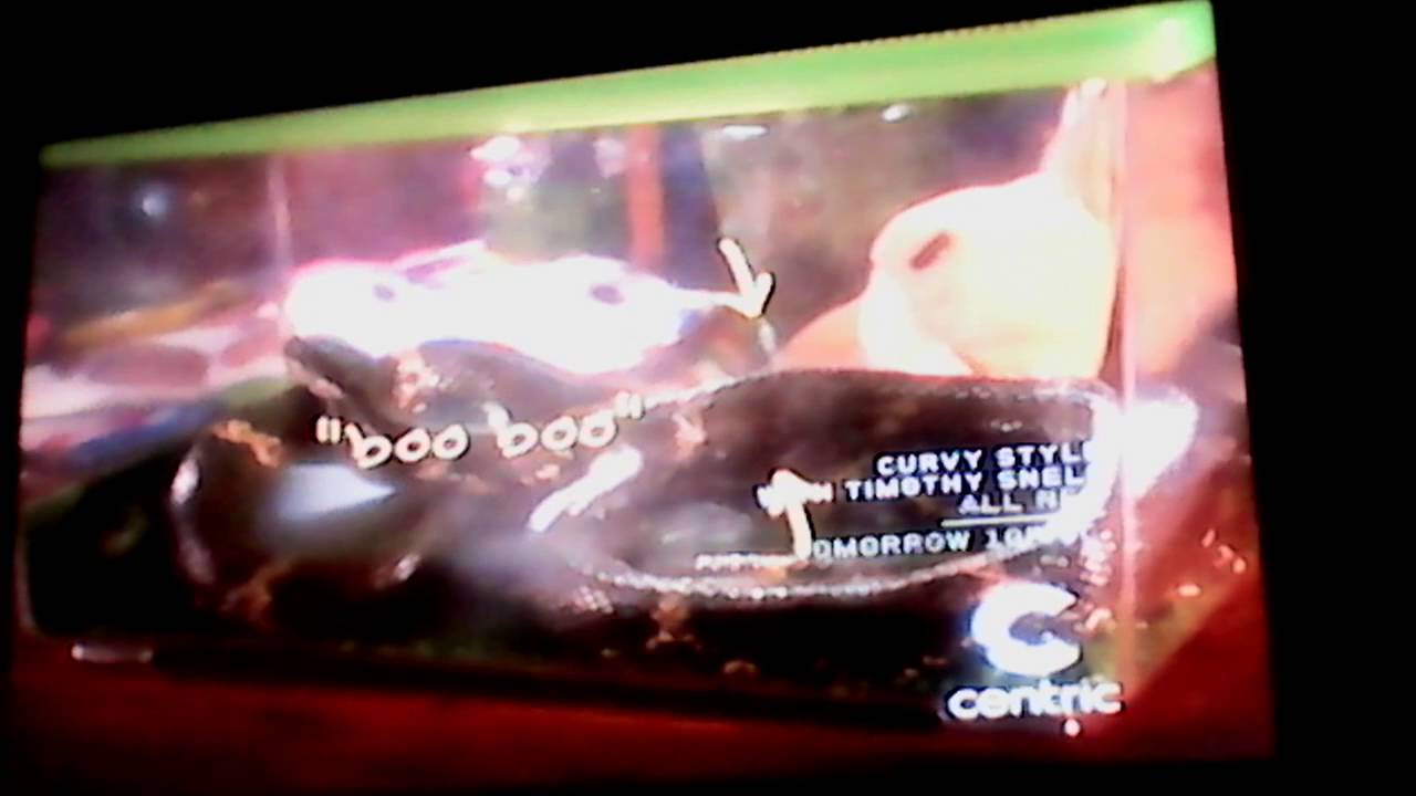 Law and Order Briscoe tells Jordan Those Snake Gonna Back Money - YouTube