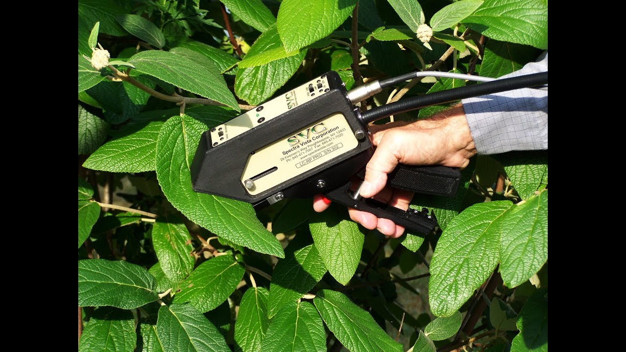 Spectral Reflectance Measurements with SVC Leaf Clip, Reflectance Probe ...