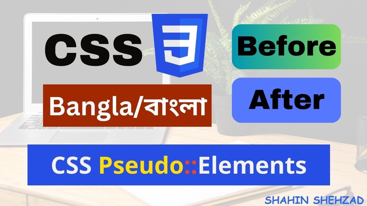 Css Before And After Css Beginner To Advance Tutorials Youtube 0871