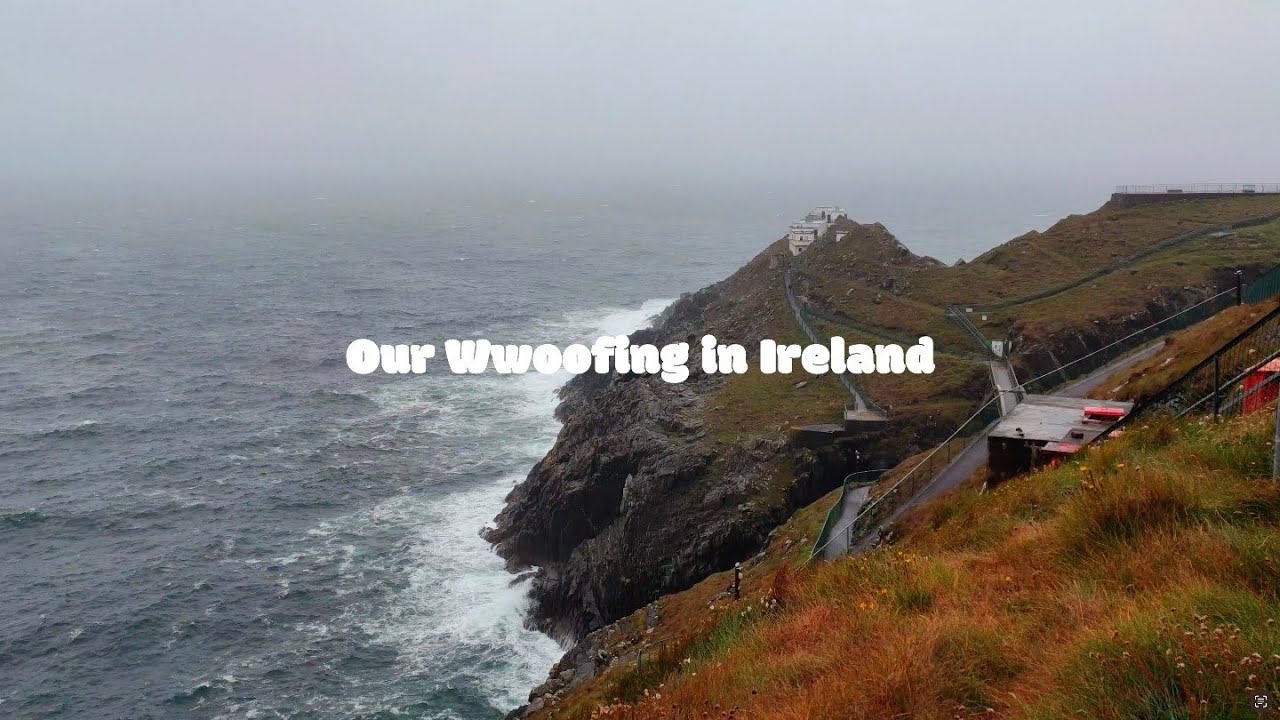 Our Wwoofing in Ireland - Summer 2022 - YouTube