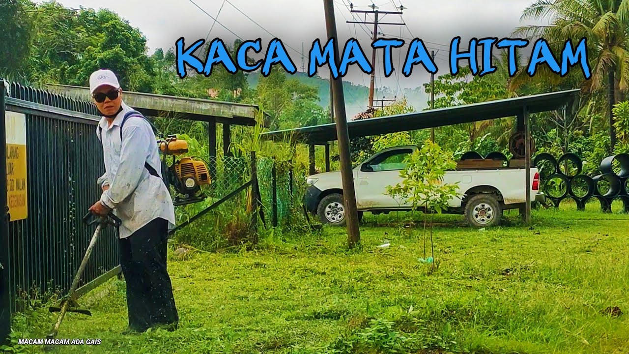 Cara memotong rumput yang cepat - YouTube