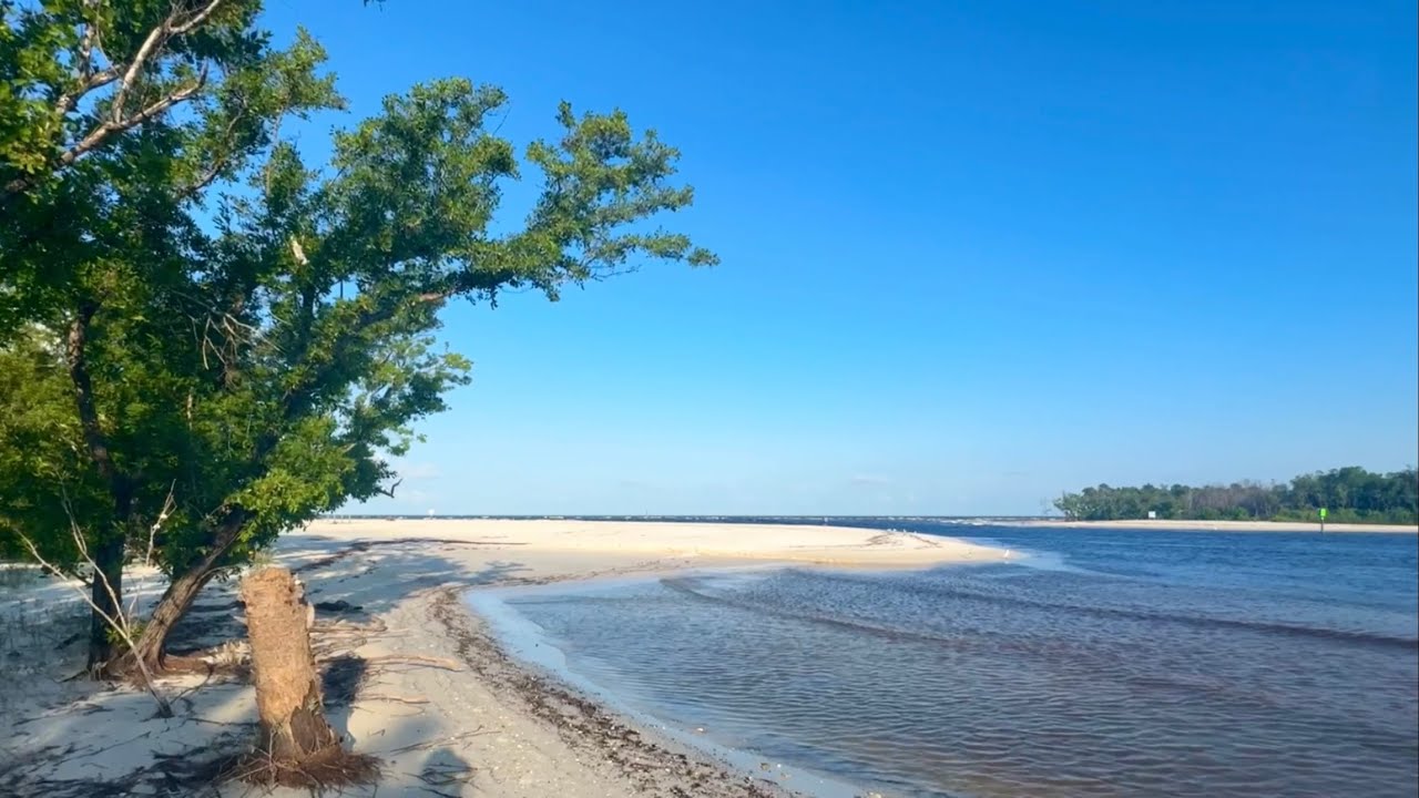 Join Robb for His Wednesday Morning Walk Along the South Shore of ...