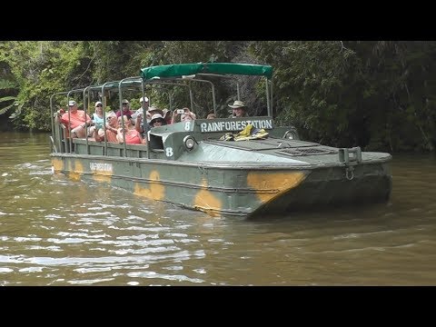 Australia #5 - Army Duck Rainforest Tour - YouTube