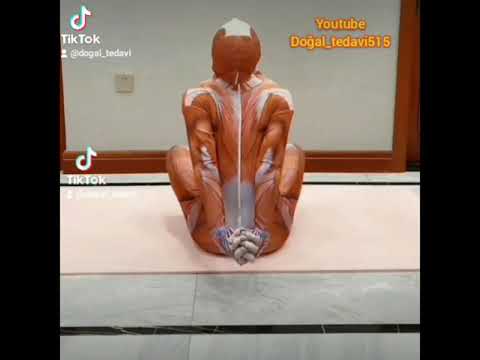 boyun fıtığı ve ağırlığı önler iyileştirir