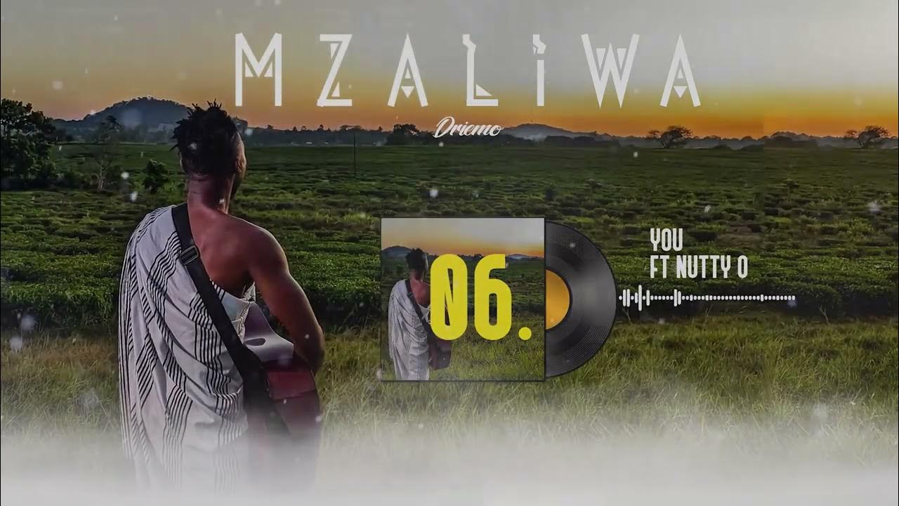 DRIEMO ft NUTTY O - YOU (official audio visaulizer) #Mzaliwa #zimbabwe #abx #zambia - YouTube
