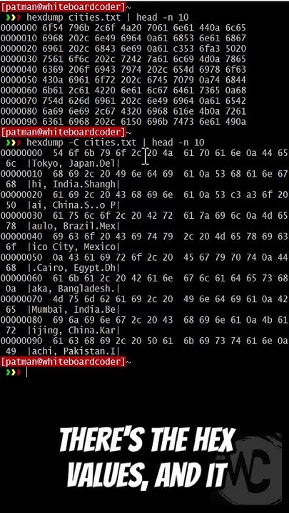 Linux Hexdump Coding Linux Linuxtutorials Linuxcommandlinetutorial Ubuntu Sysadmin Youtube