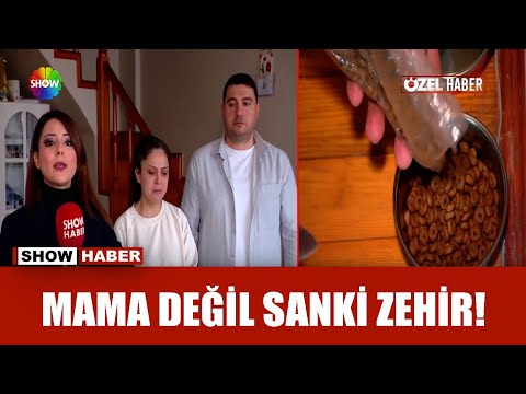 İnternetten mama alırken dikkat!