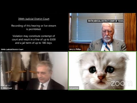 Filter turns lawyer into cat during Zoom hearing