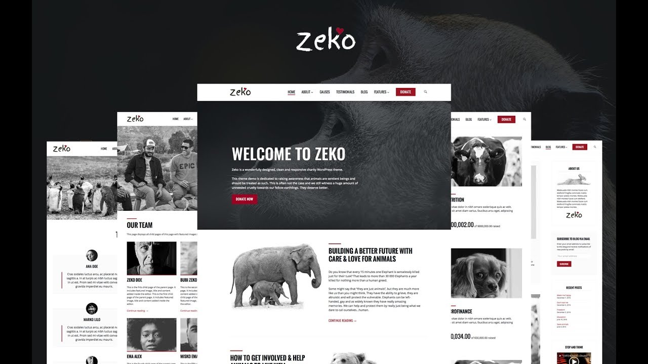 Zeko Charity WordPress Theme - Customizer & 3rd Party Plugins - YouTube