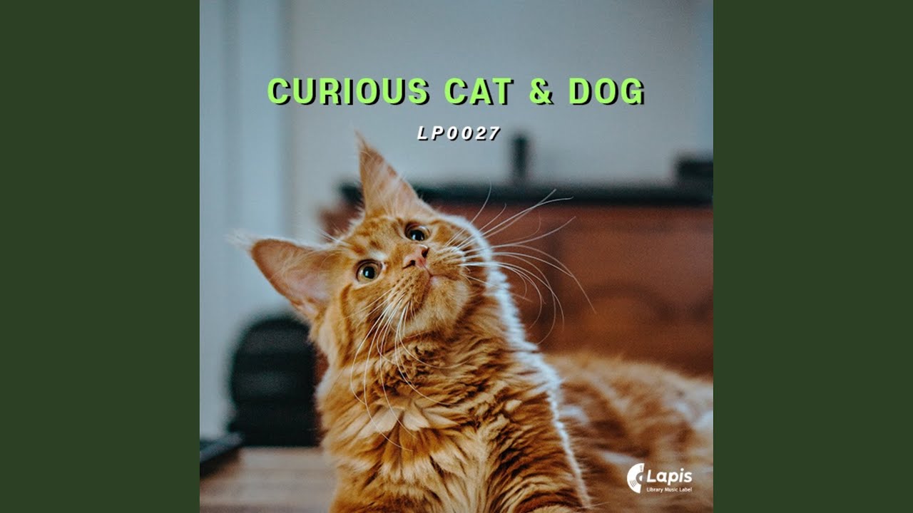 Lazy Afternoon B_underscore - YouTube