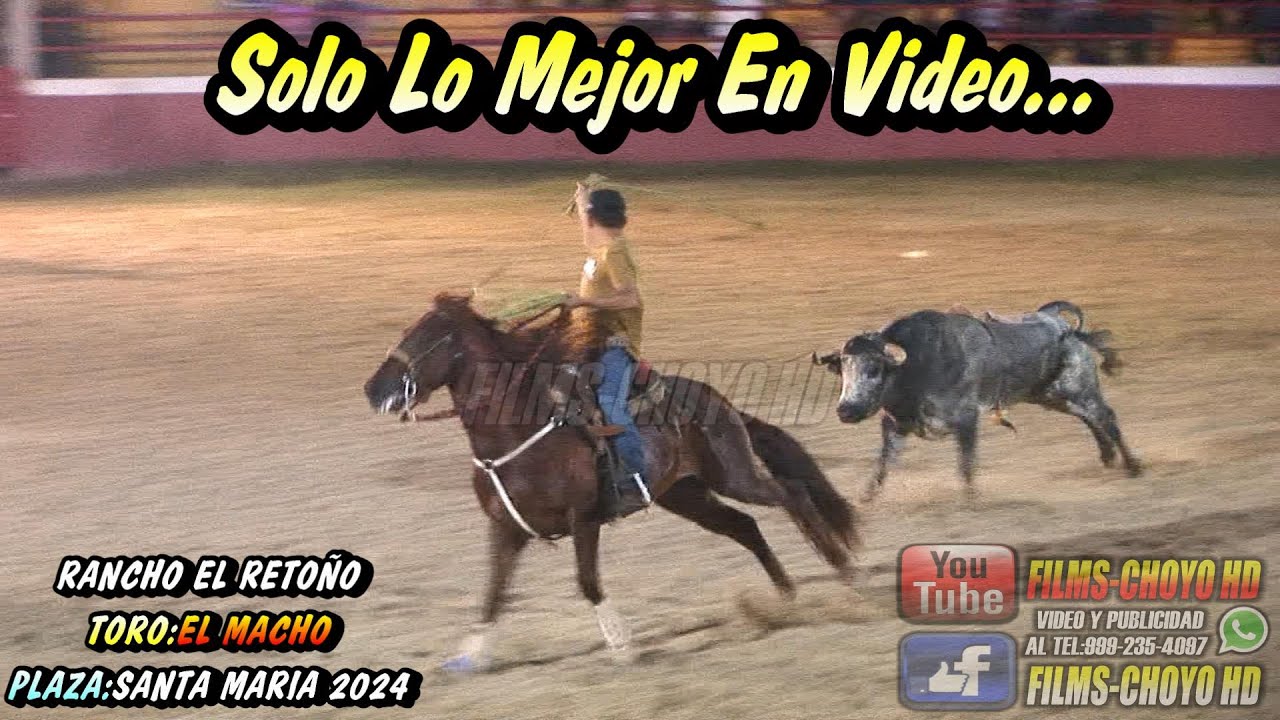 TORO EL MACHO EN LA PLAZA DE TOROS SANTA MARIA DOMINGO 08 DE DICIEMBRE ...