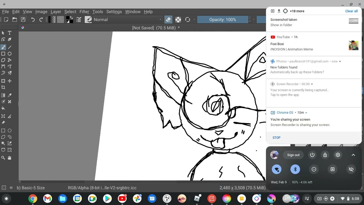 HI CRYSTAL!! (Crystal calico cat) // EXCITING YT UPDATES!! - YouTube