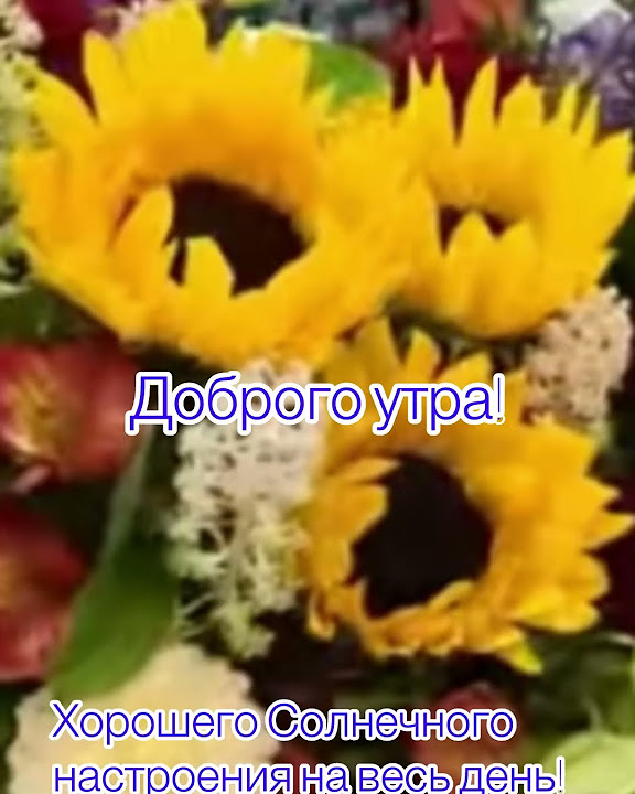 С 🎉добрым🎁утром☀️и💓хорошего🥰дня 🦋🦋 Youtube