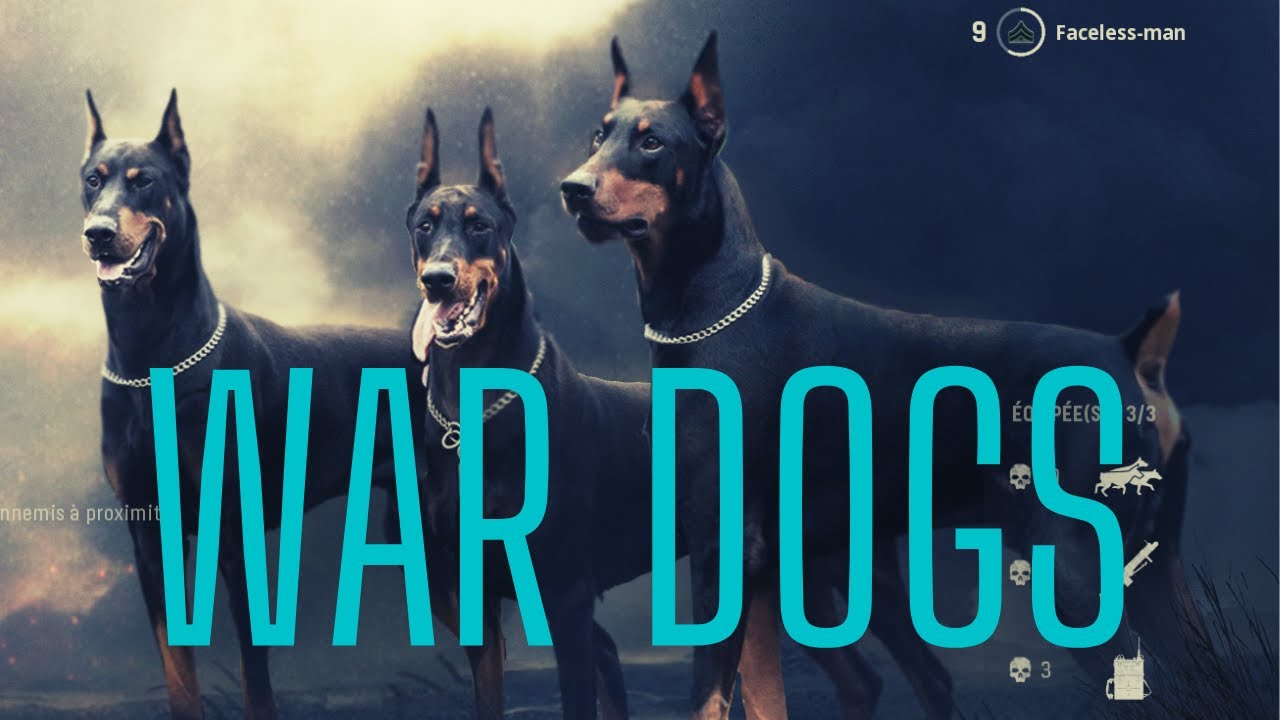 Call of Duty: Vanguard Beta. INSANE Attack Dogs Streak ! - YouTube