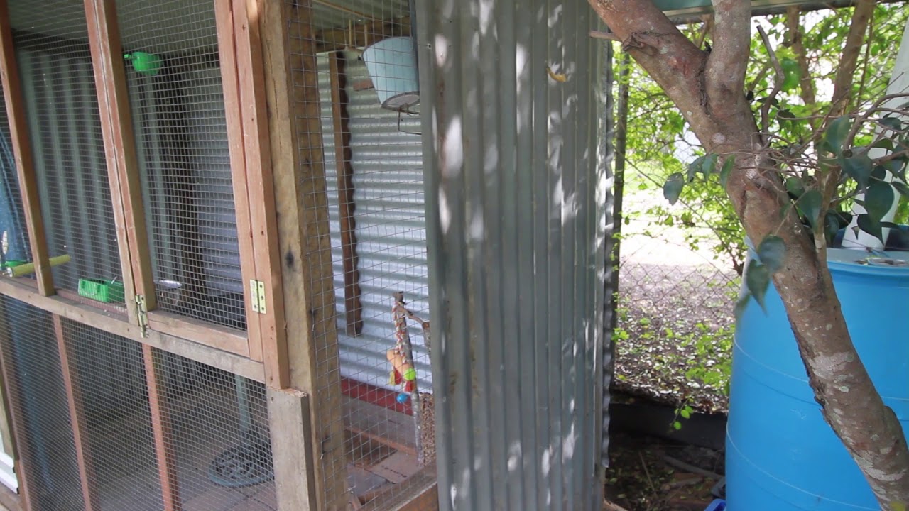 Home DIY Aviary Build 2018 - YouTube