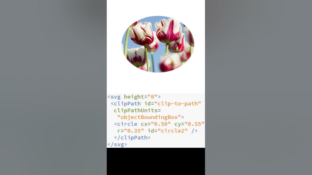 Css Clip Path Svg Many Circles Youtube
