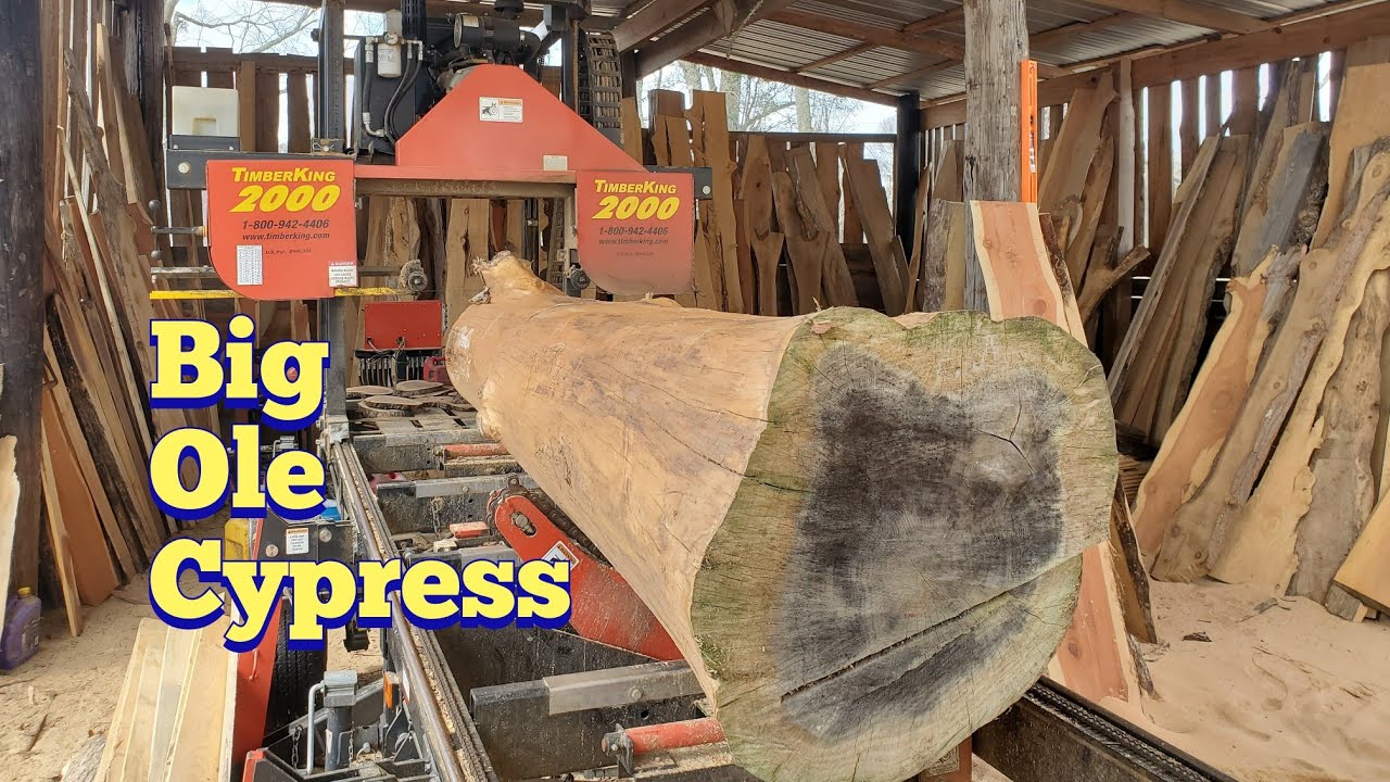 Our biggest Cypress log on the sawmill, quite the collection of slabs ...