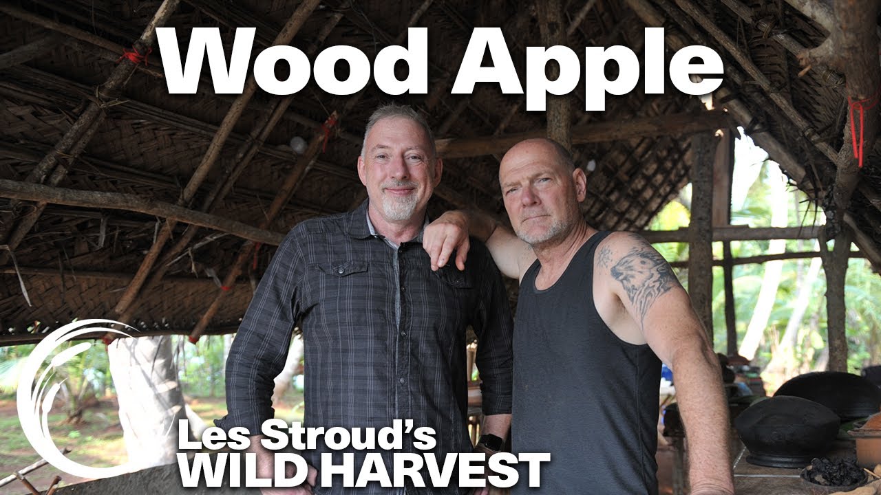 WILD HARVEST | WOOD APPLE | LES STROUD | PAUL ROGALSKI - YouTube