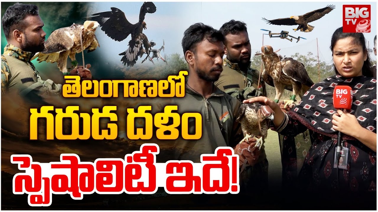 Police Department More Effective With Eagle Squad | Eagle Squad to Pull Down Rogue Drones | BIG ...