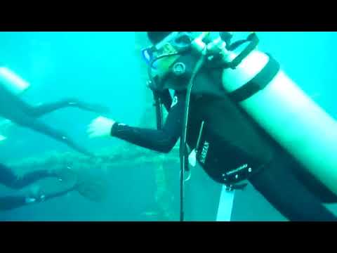 JRD binukbok view point resort tingloy diving - YouTube