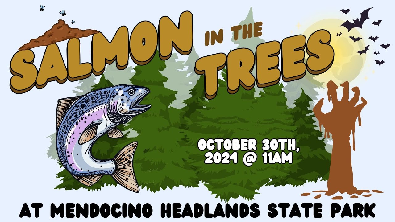Salmon in the Trees - YouTube