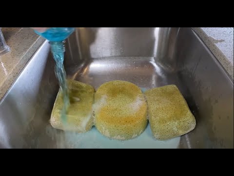 ASMR Sponge Squeezing | Spring Fresh Fabuloso on Dried Paste Sponges ...