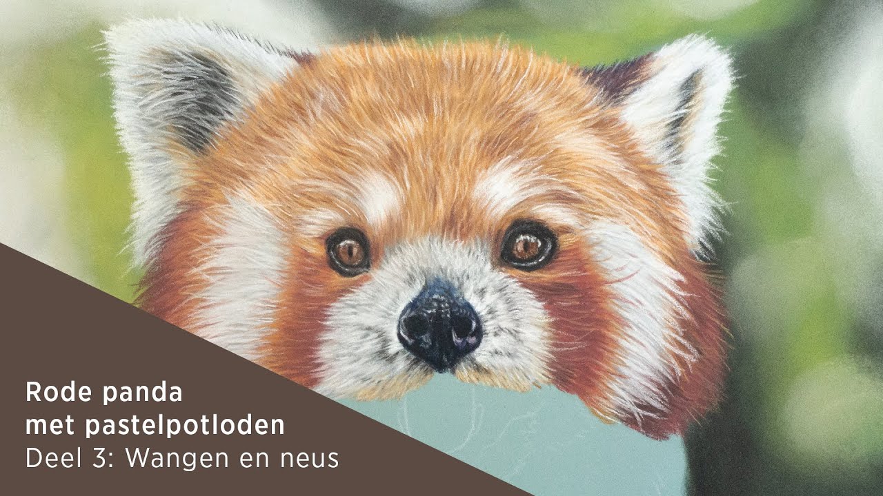 Teken mee - rode panda met pastelpotloden - Deel 3 - YouTube
