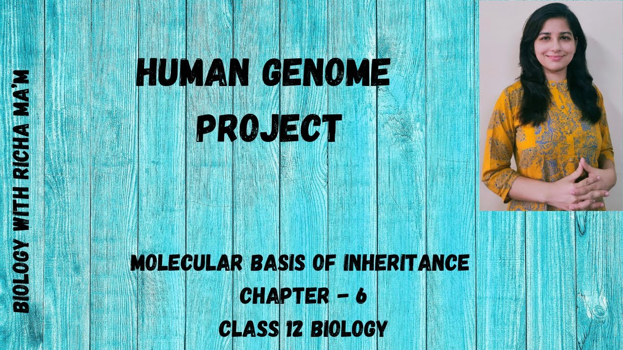 HUMAN GENOME PROJECT || SALIENT FEATURES AND APPLICATIONS OF HUMAN ...