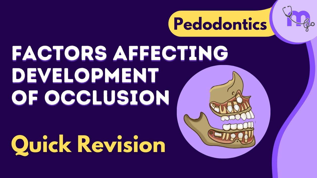 Factors affecting development of occlusion - Revise in 1 minute ! - YouTube