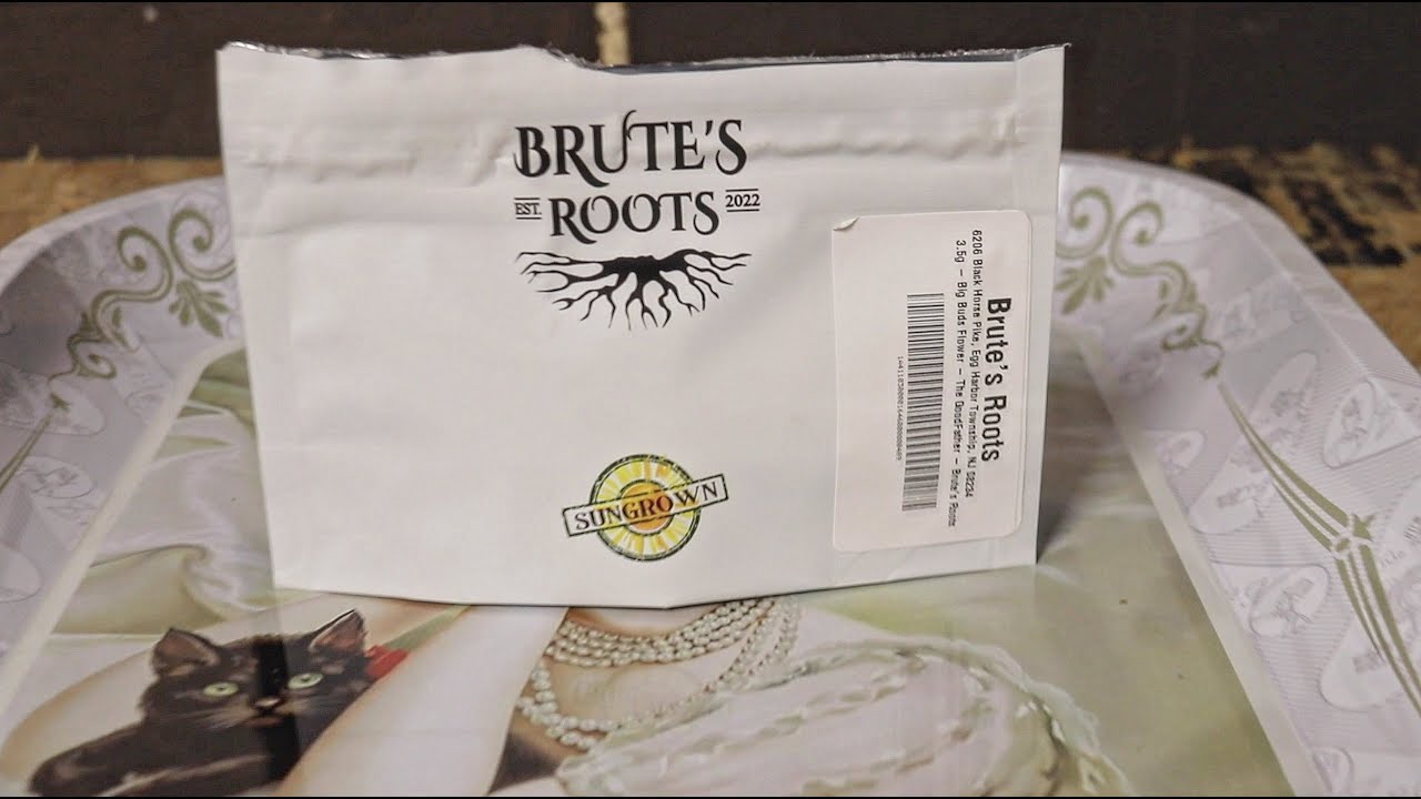 New Jersey's First Sun Grown Product | BRUTES ROOTS GOODFATHER - YouTube