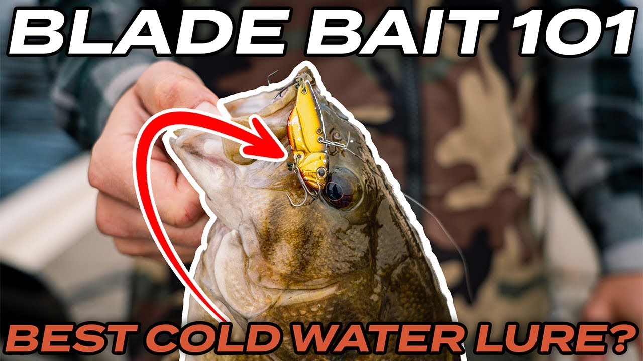 BEST Cold Water Lure EVER?! (Technique Highlight) - YouTube