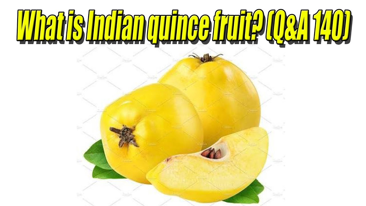 What is Indian quince fruit? (Q&A 140) - YouTube